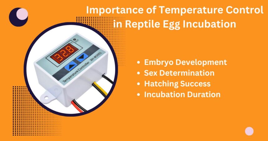W3001 Temperature Controller DIY Incubator for Reptiles Eggs - Vayuyaan